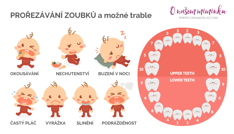 Profimed_První ZOUBKY a trable s nimi | MUDr. Michala Knězková ... Profimed_První ZOUBKY a trable s nimi | MUDr. Michala Knězková ...